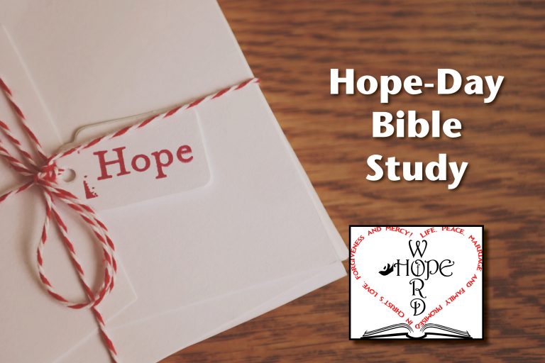 Hope-Day Bible Study – Marked by God - Lutherans For Life