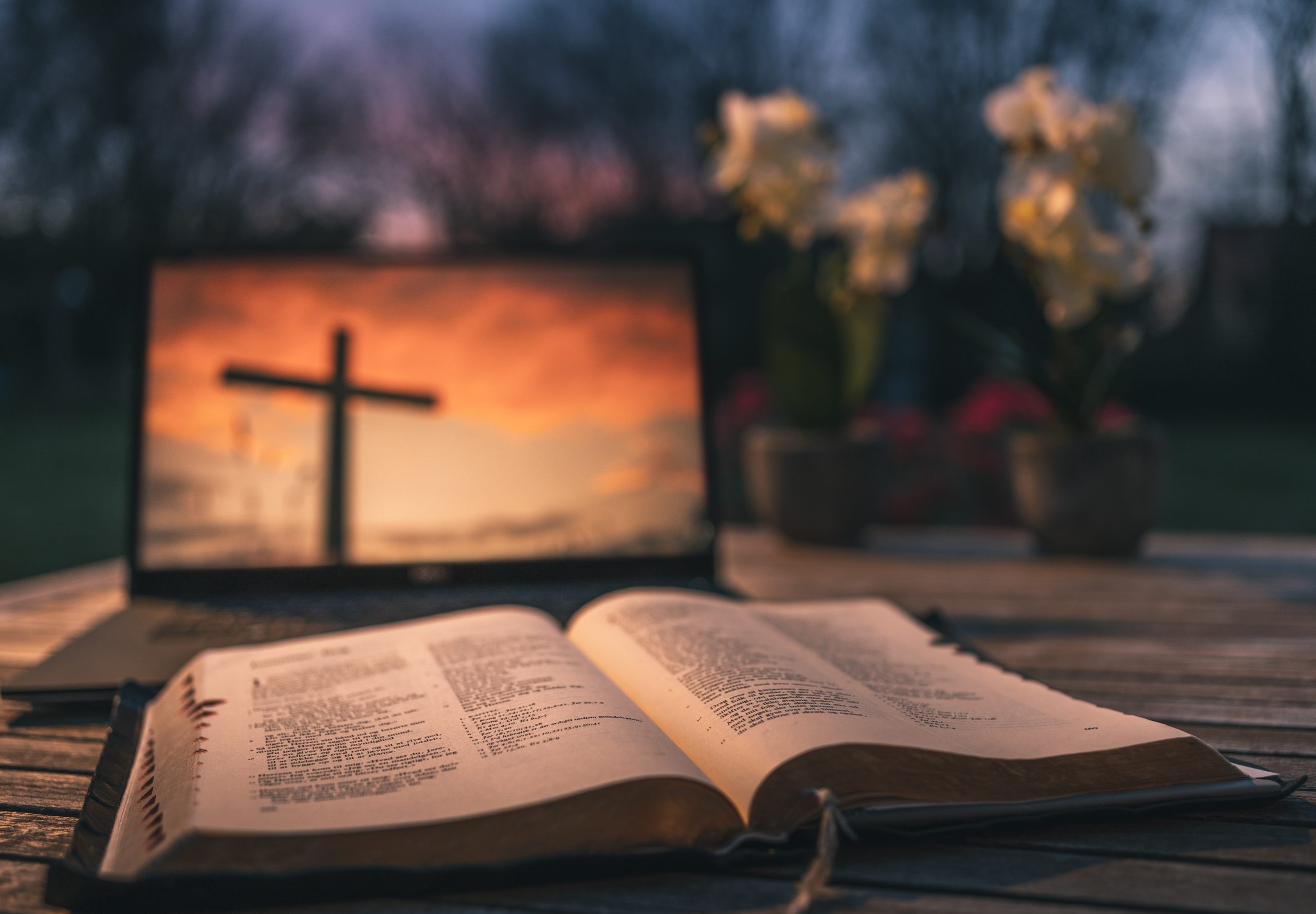 For Life Live Archive - Lutherans For Life