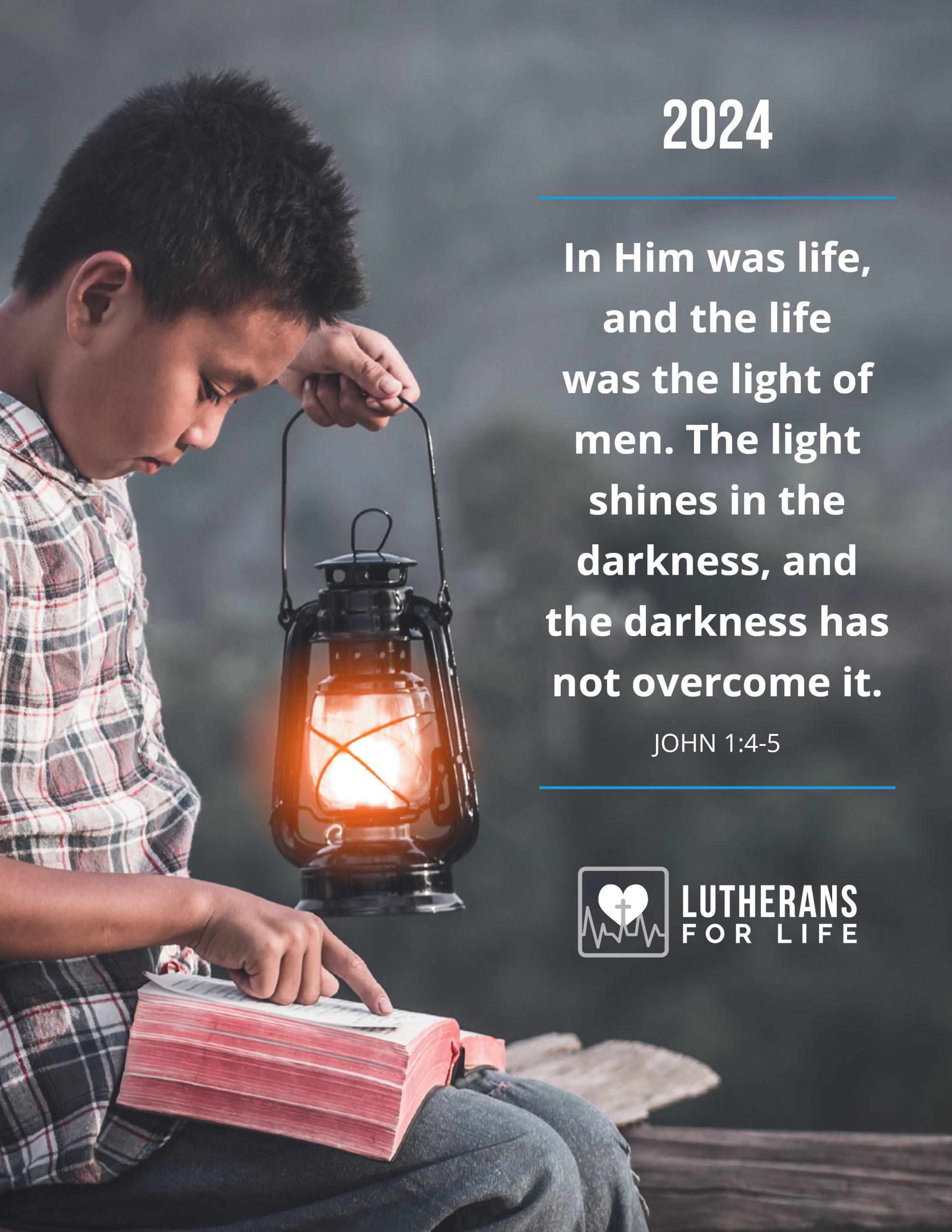 2024 End of Year Appeal - Lutherans For Life