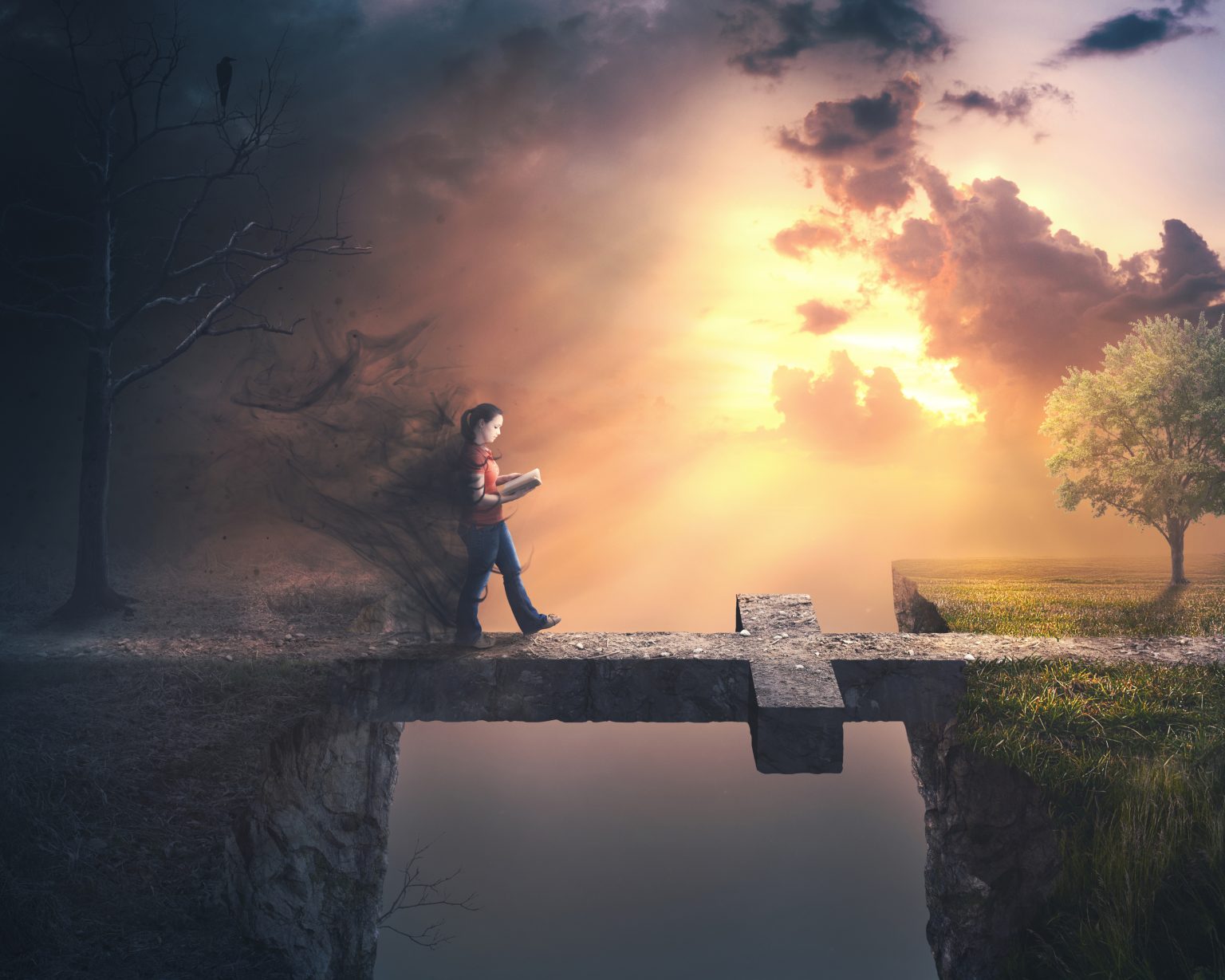 Jesus IS the Bridge - Lutherans For Life