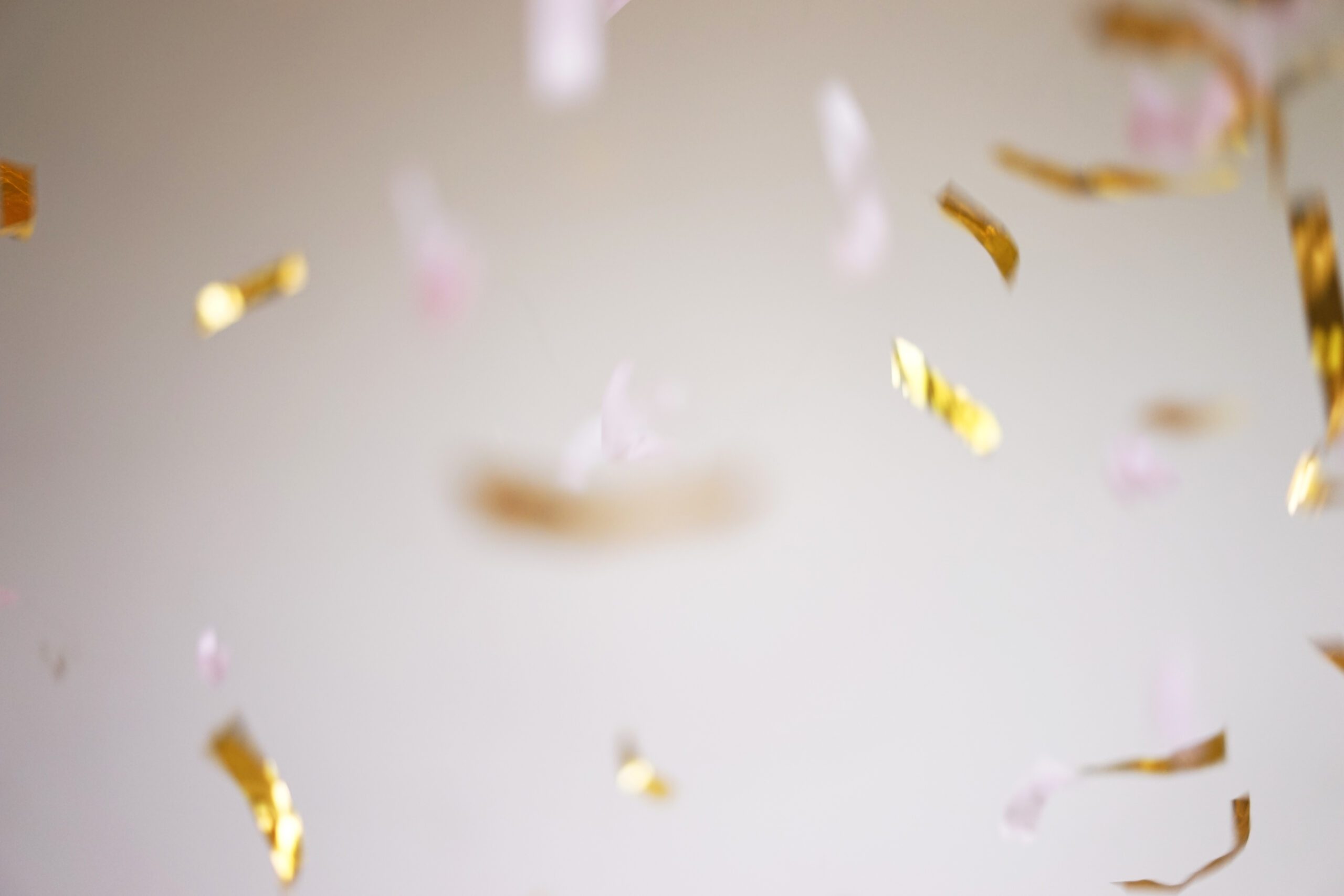 Life Projects - Lutherans For Life